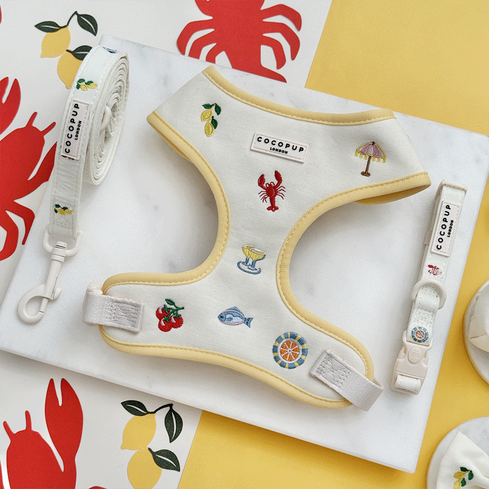 Build Your Own Dog Walking Bag | Cocopup London