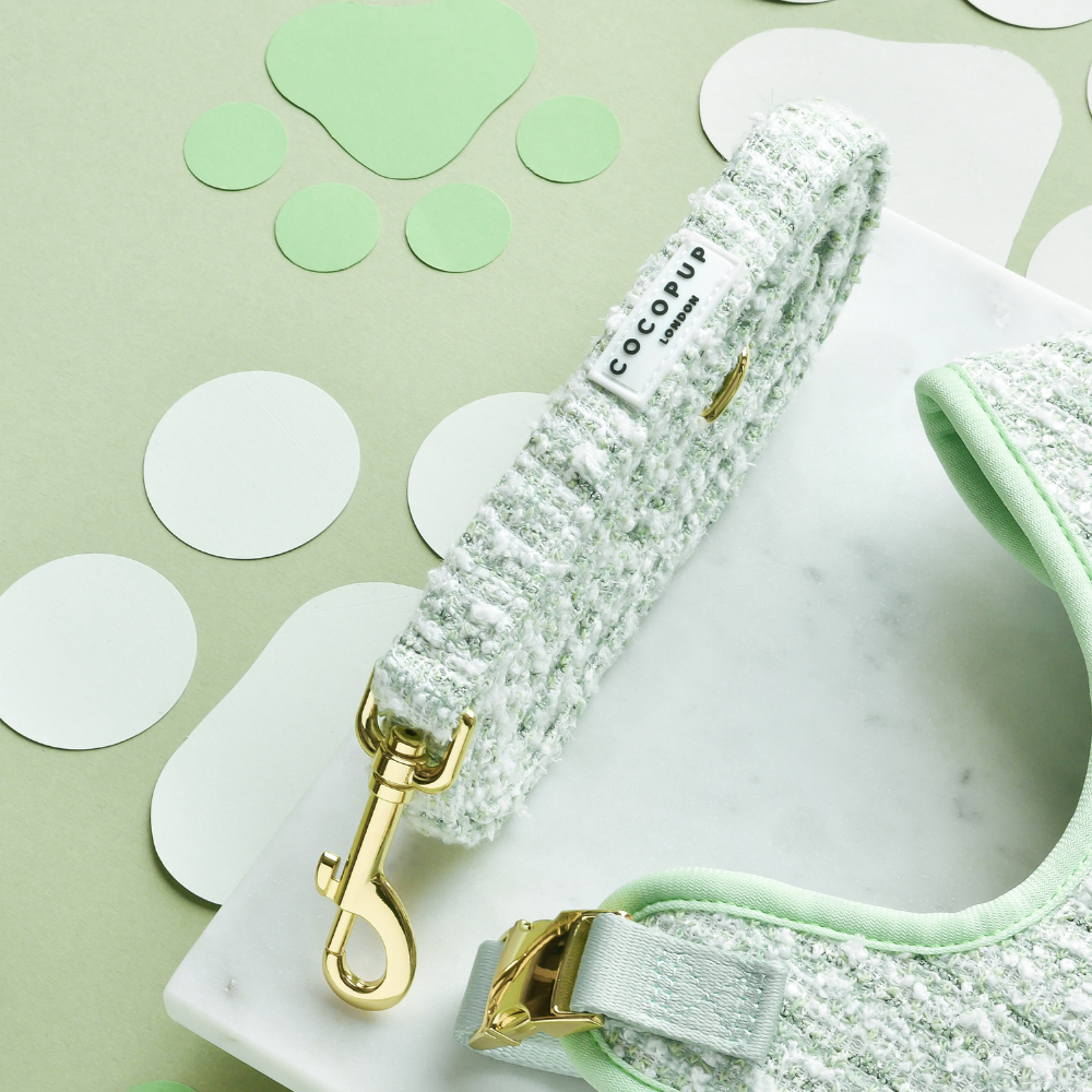 Matcha Textured Tweed Dog Lead | Cocopup London